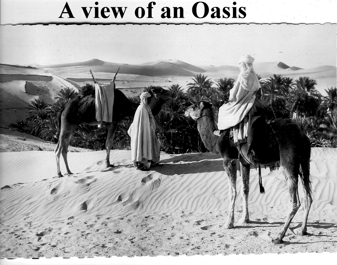 Algerian_postcards_of_Sahara3