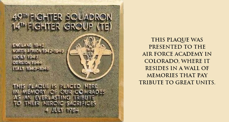 Welcome to the 49th Fighter Squadron