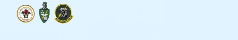 Welcome to the 49th Fighter Squadron